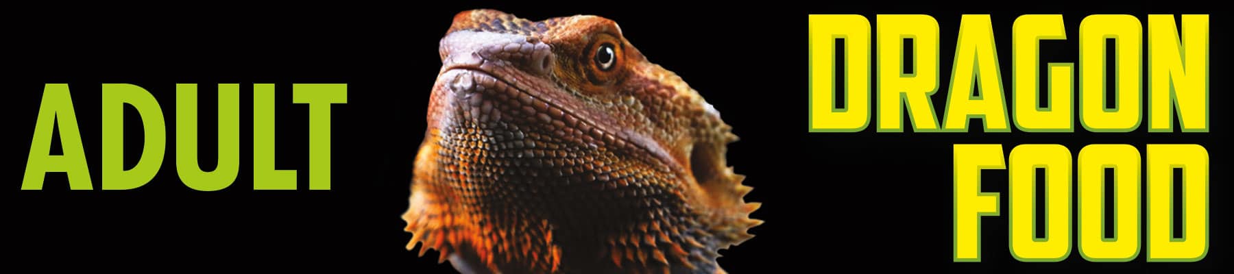 Adult Dragon Food | Zoo Med Laboratories, Inc.