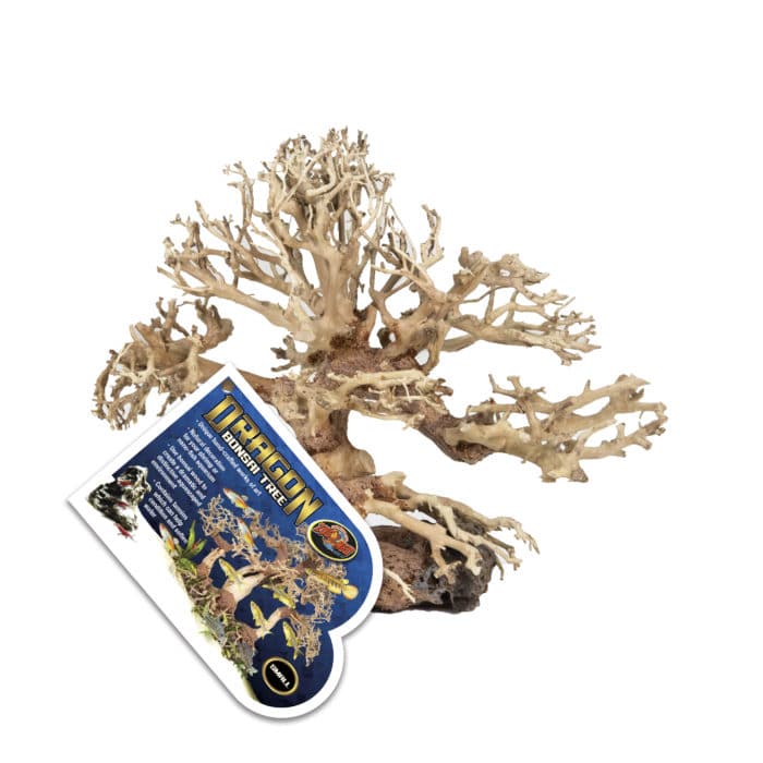 Dragon Bonsai Tree | Zoo Med Laboratories, Inc.