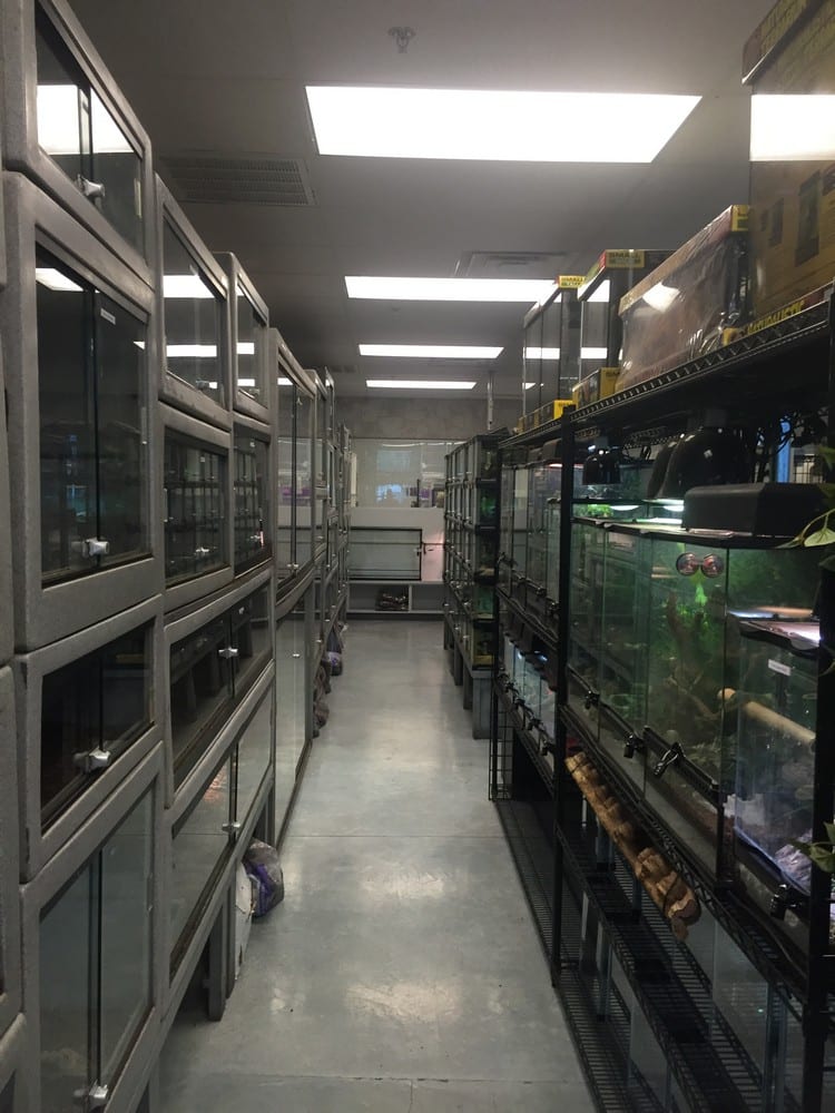 Store of the Month – September 2017 | Zoo Med Laboratories, Inc.